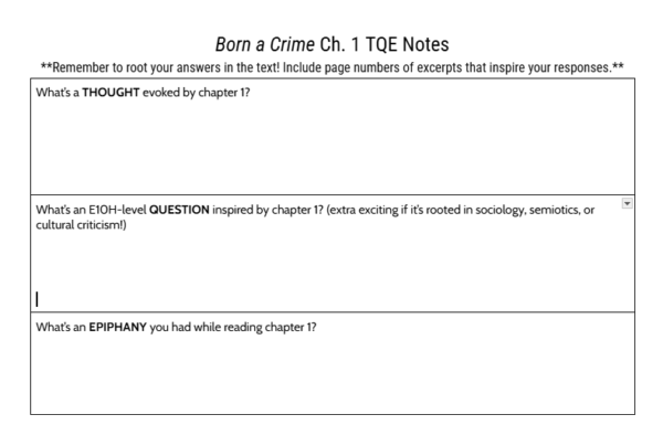 Steal My Born a Crime Teaching Ideas - Lindsay Ann Learning English ...